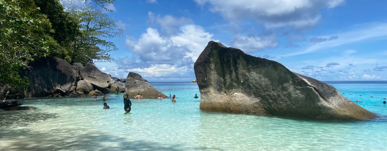 Путешествуй с дромоманкой