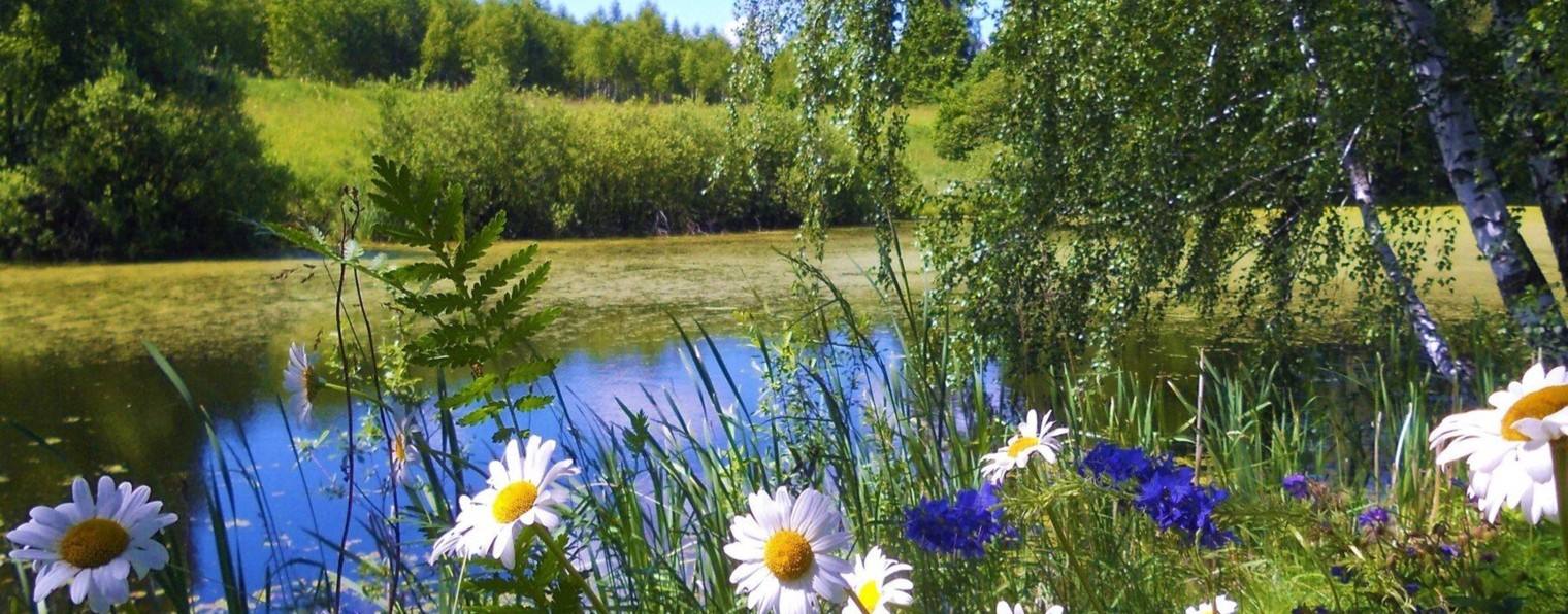 Алина Мальская