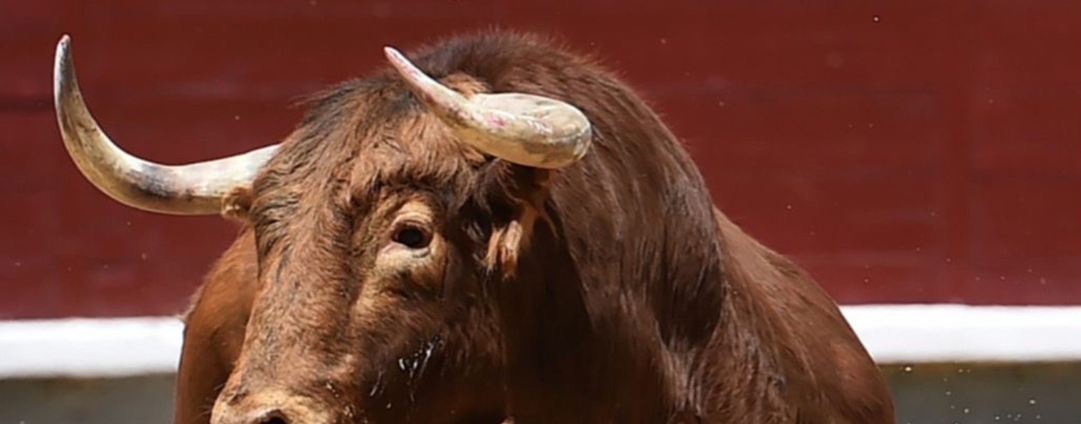 El toro de Moscú