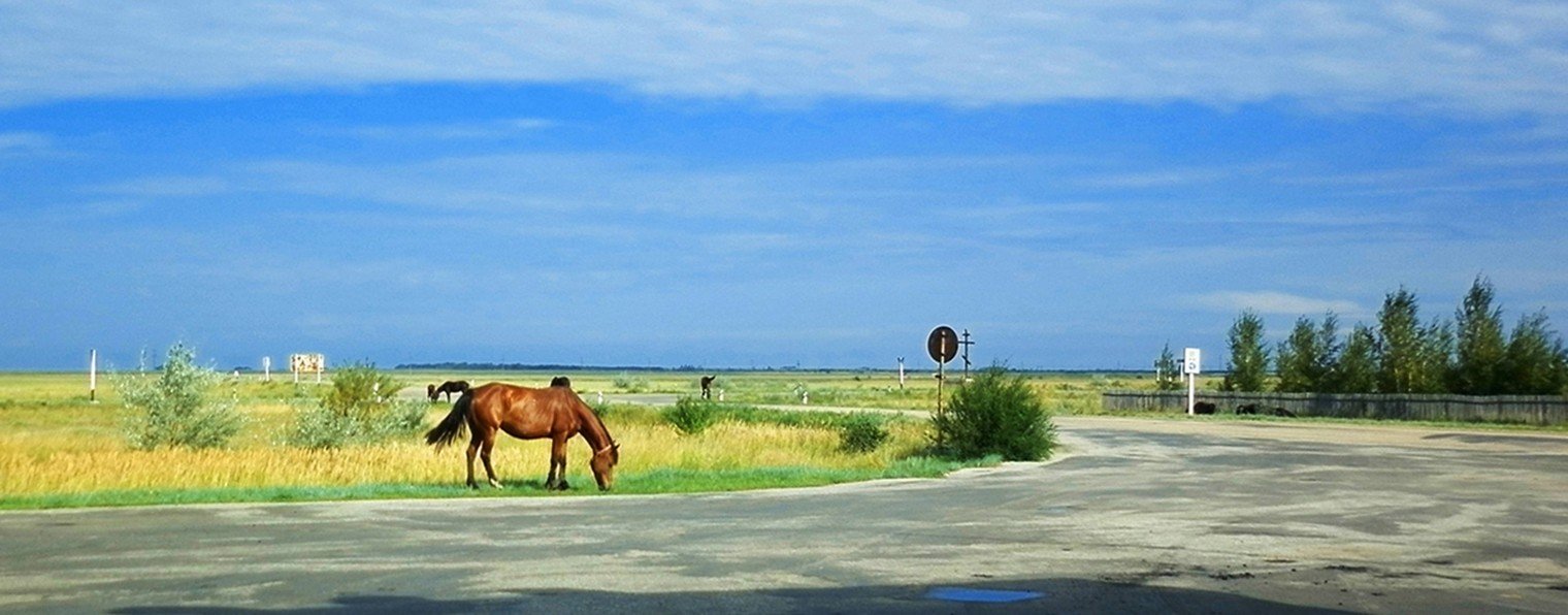 Бурлинка