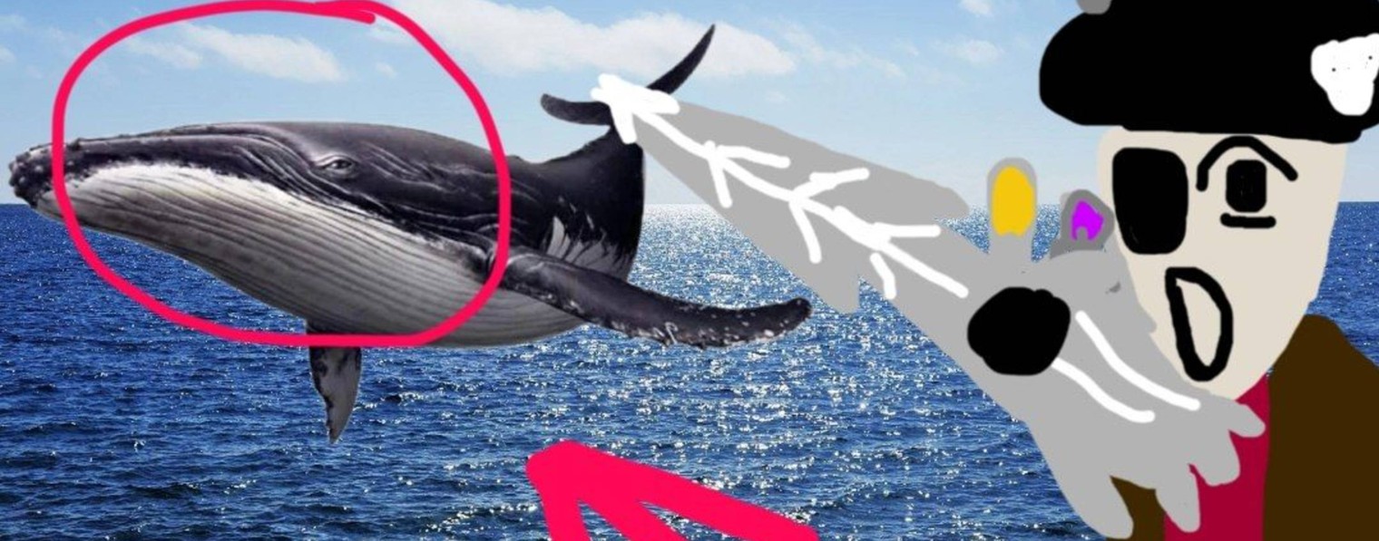 Тот Самый Гашарпун