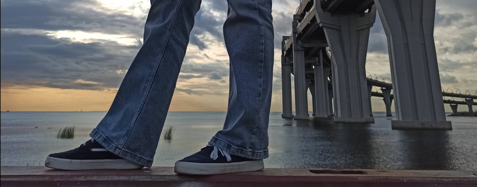 Про лису, кошку и медведя