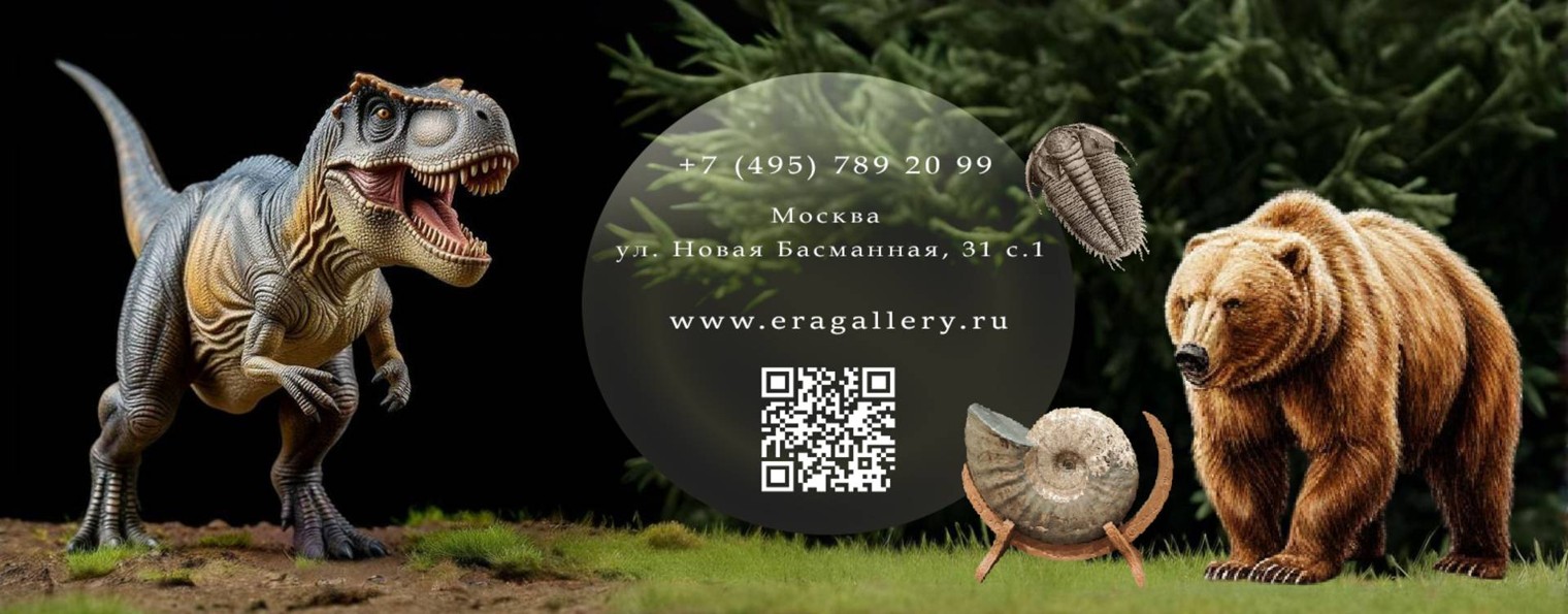 ERA GALLERY SHOP