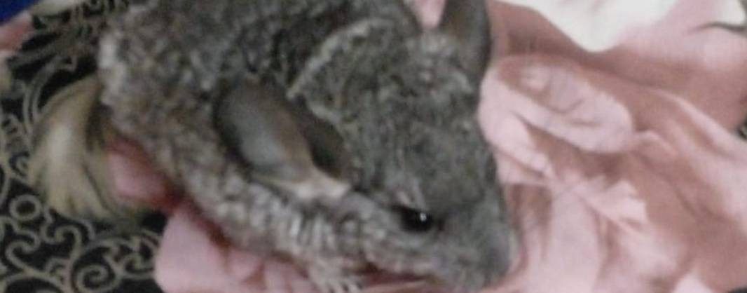 Мир начинается с крыльца