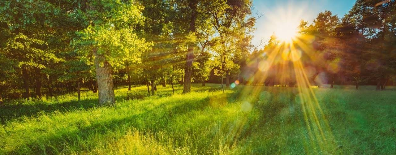 Анастасия Sunleto