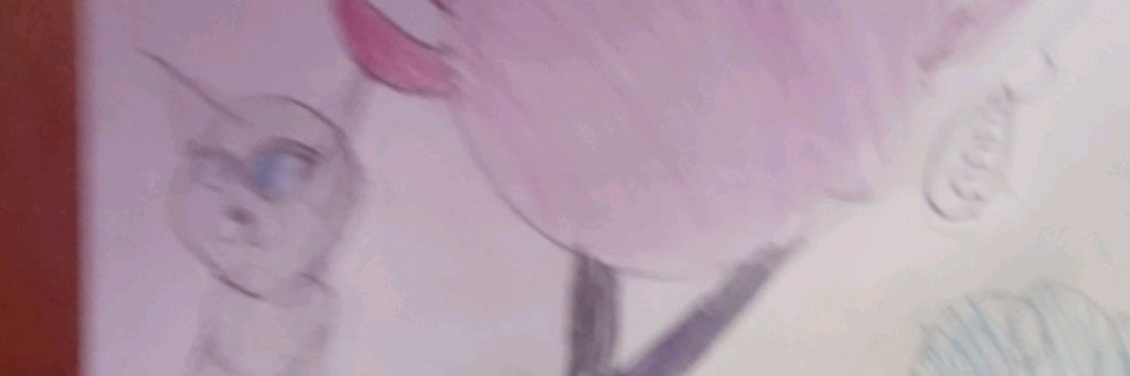 Kinito PET