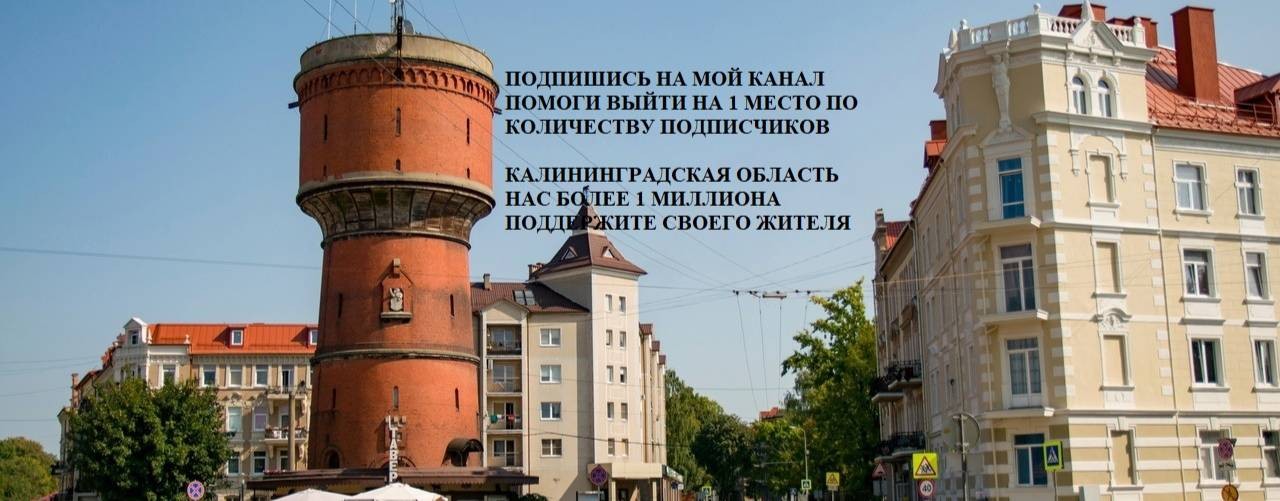 Александр Лапиков
