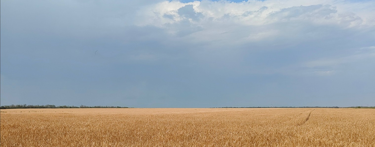 Так получилось...