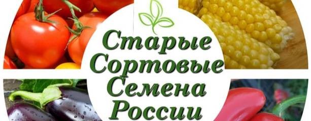 КЛЕНОВАЯ