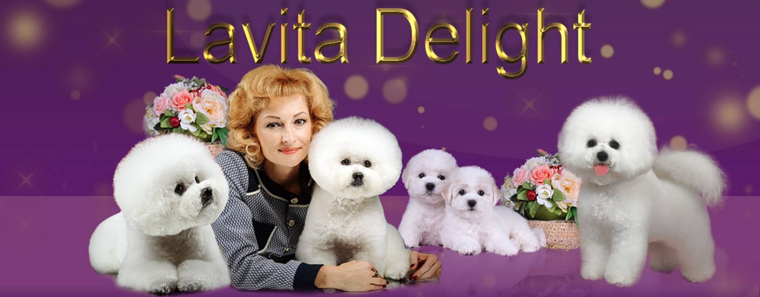 LavitaDeligt