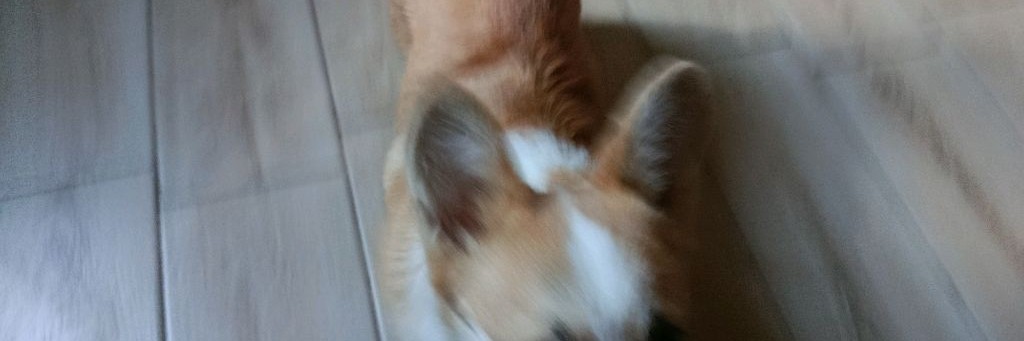 Вова Манкравт