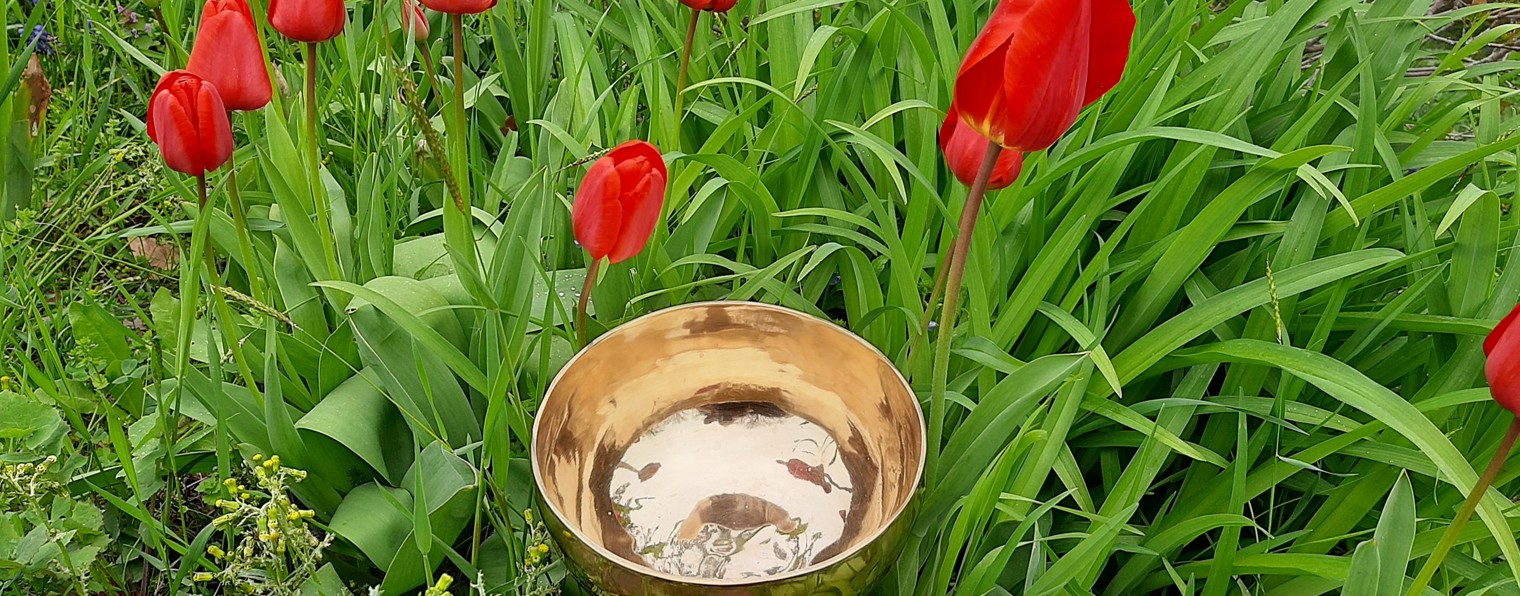 Виталий Алтайский