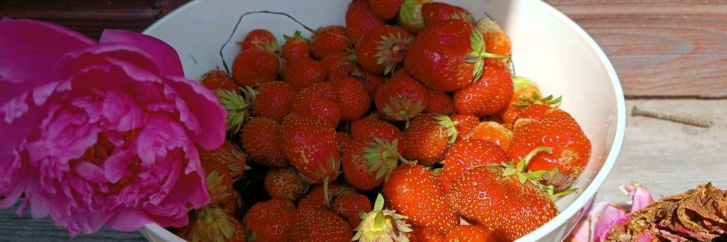 ИННА&LIFE  В Москву из деревни