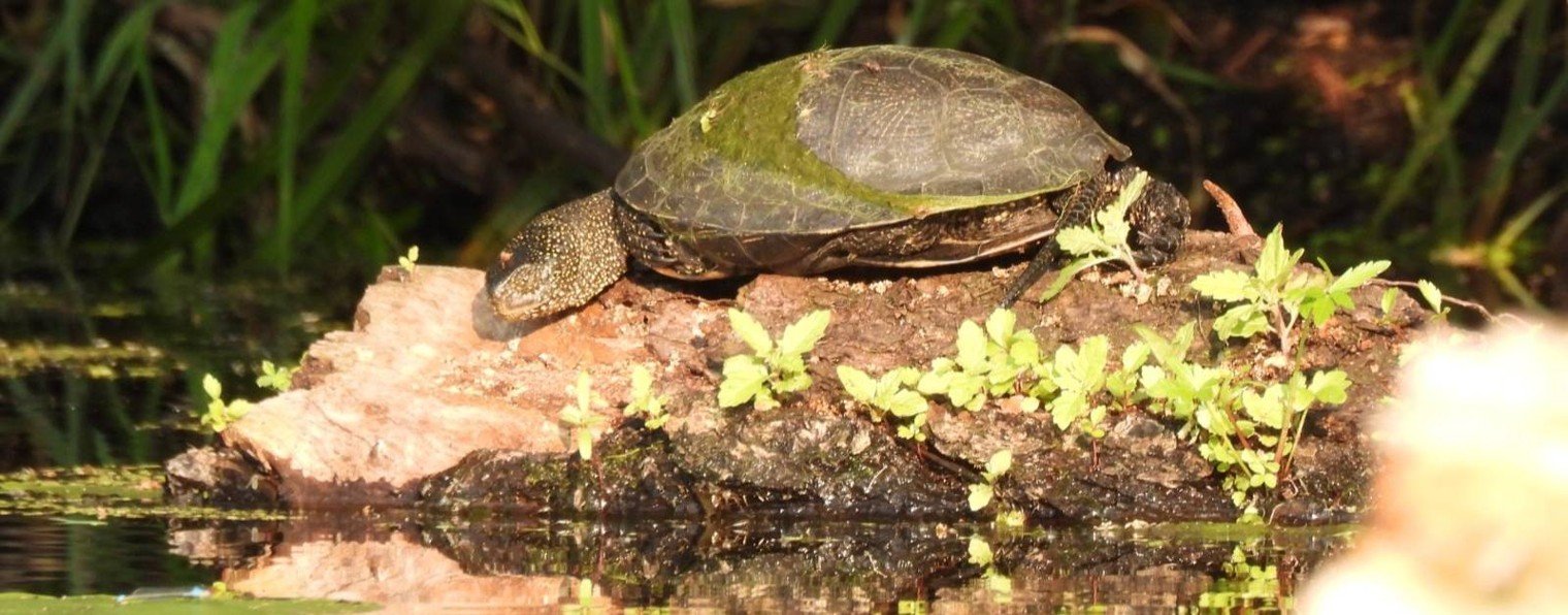 Хопёрский заповедник