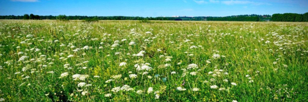 Житие Святого Андрея Боголюбского.