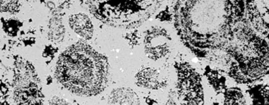 Деко-сервис