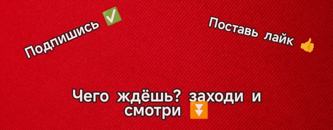 RENOVIZ