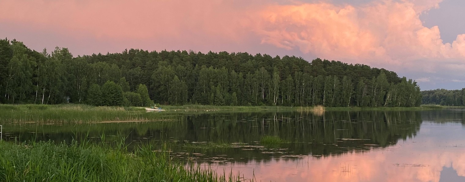 Психолог Анастасия Алексина
