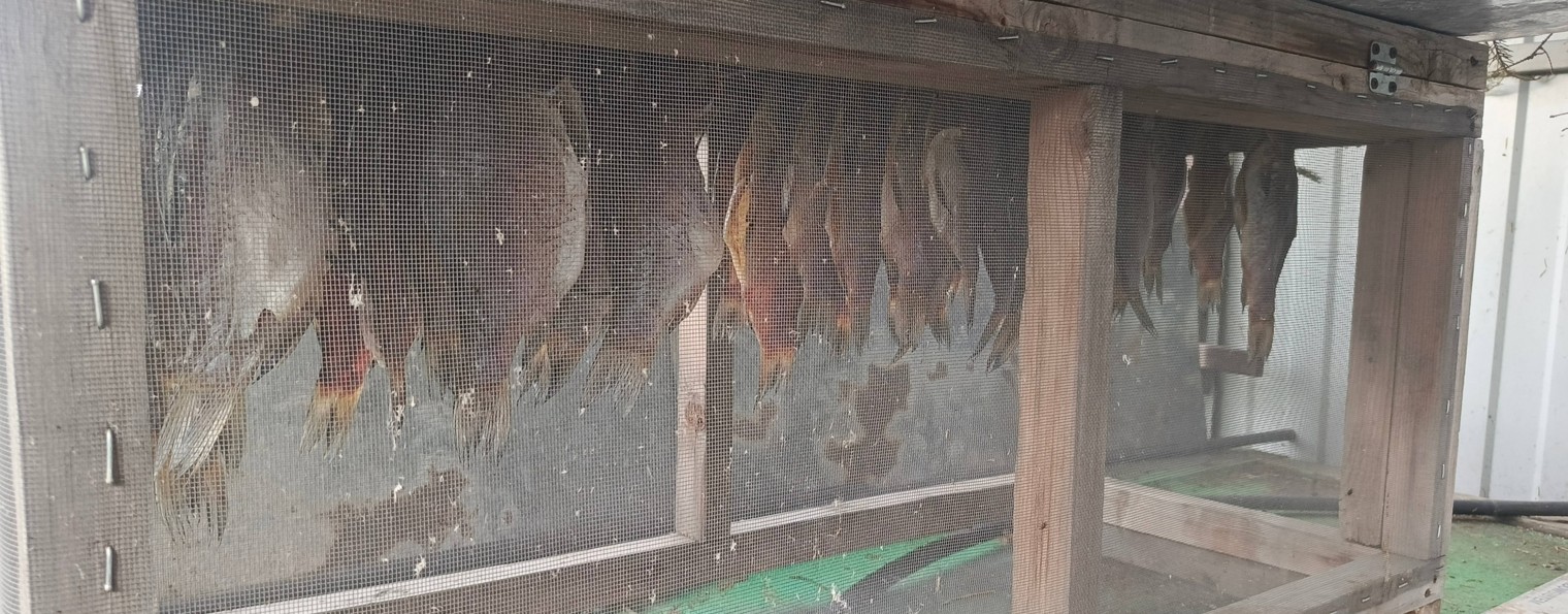 Моя Рыбалка и охота.