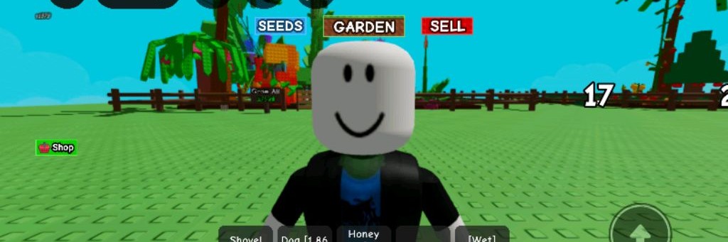 Даня и Даня