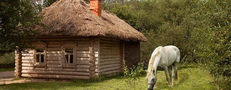 Жизнь в деревне