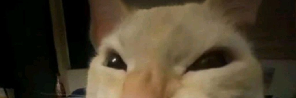NoobFace