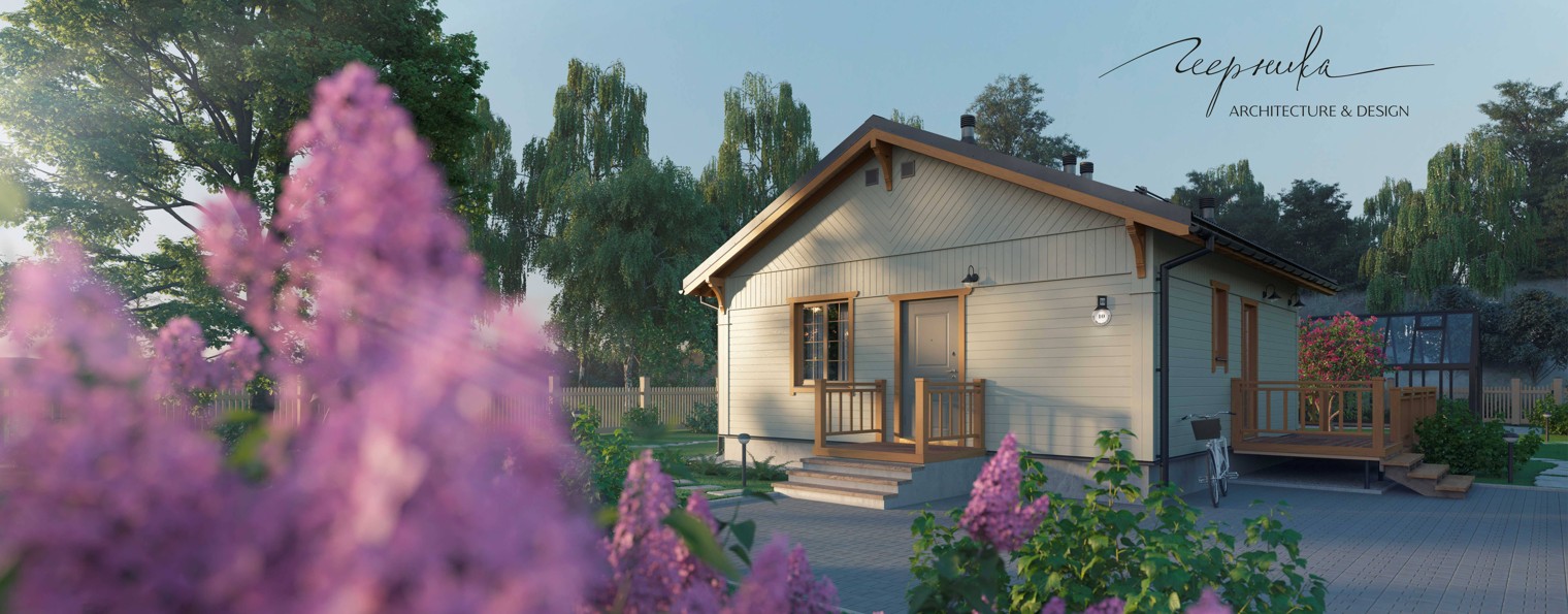 ЧЕРНИКА | каркасный дом от архитекторов