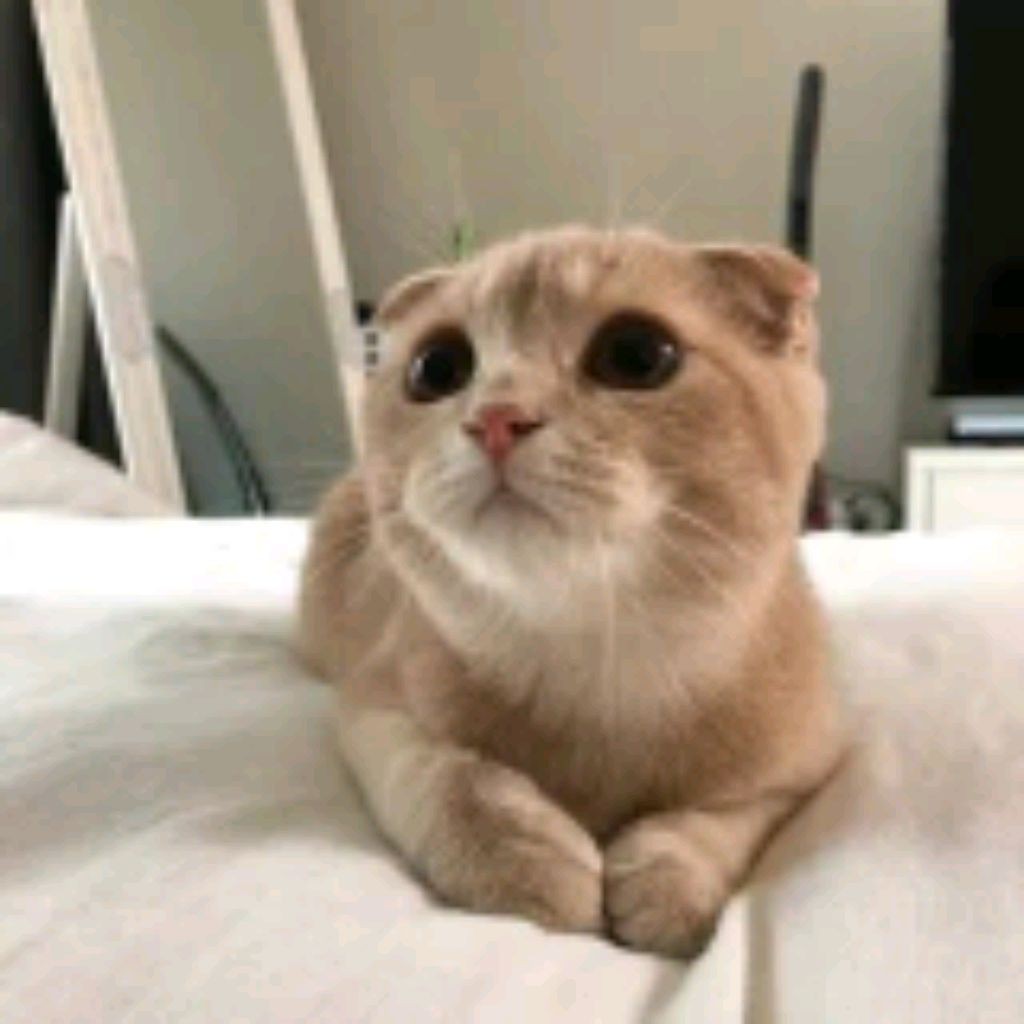 Ёшка
