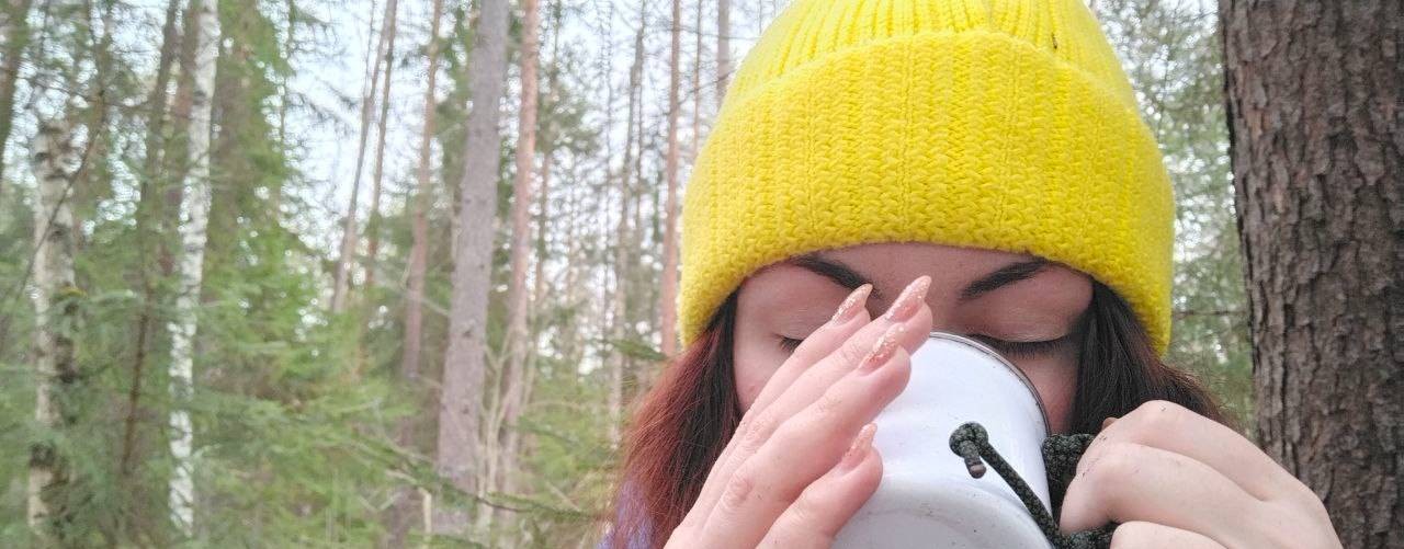 Лесная Сказка