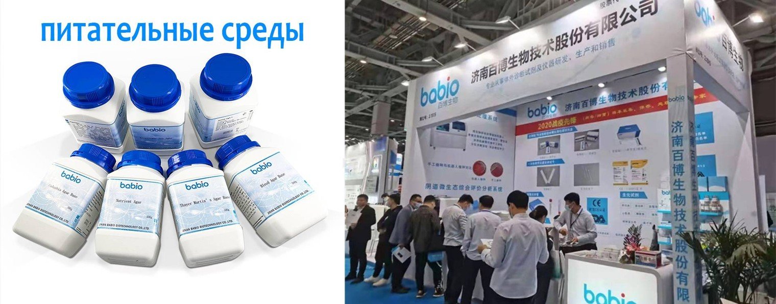 Babio Biotechnology