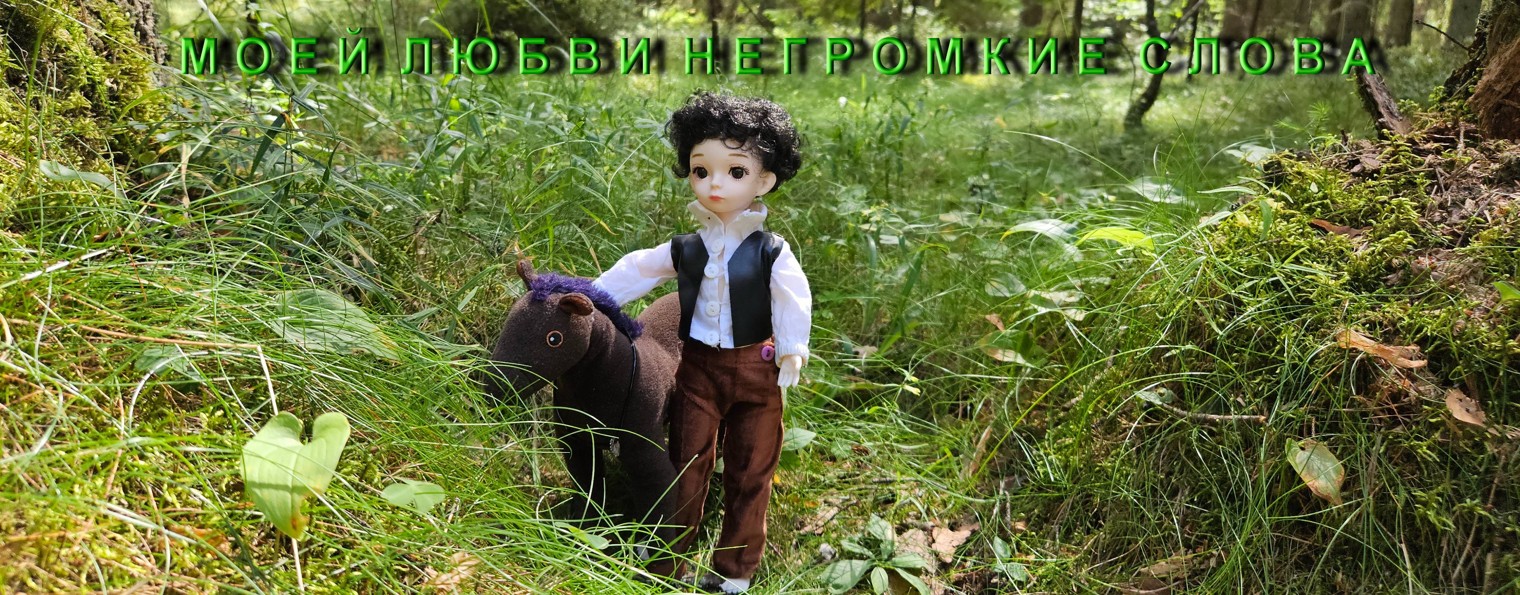 Моей любви негромкие слова