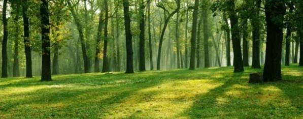 Альберт Ринатович Научный мир