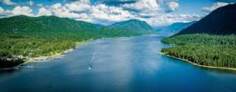 По ком скрипит карусель