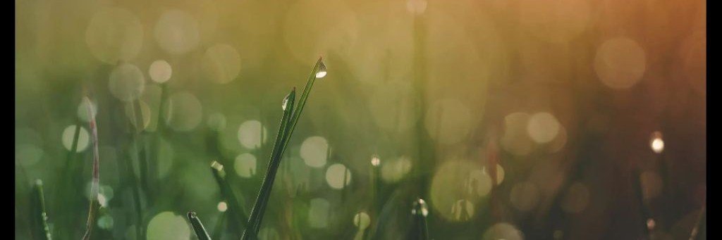 MediaHuaweiRussianVideoMaker3856