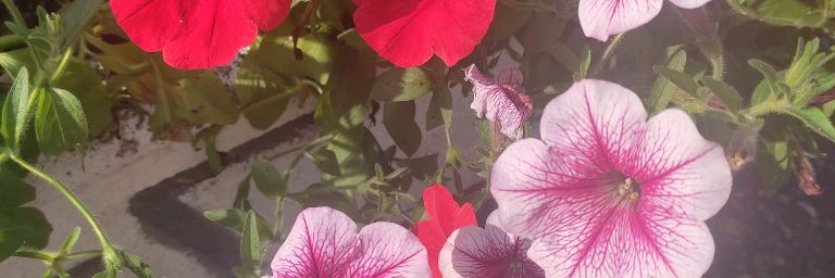 О.Наталья Анатольевна