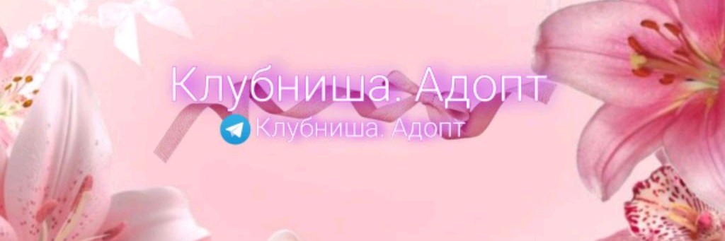 Клубниша. Адопт