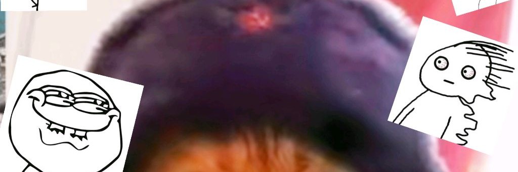 Пельмень 228