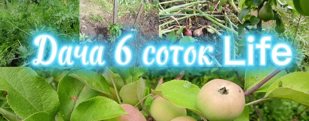 Дача 6 соток // НеДоДачники в городе
