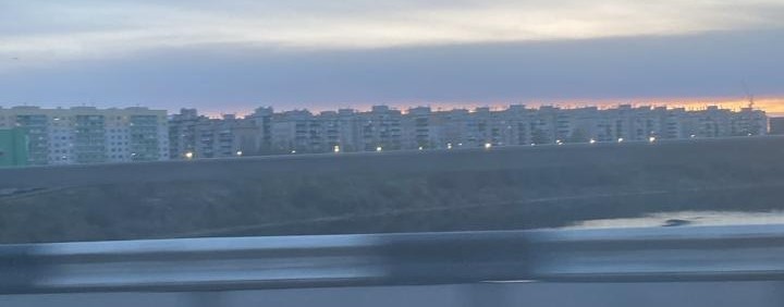 хамелион