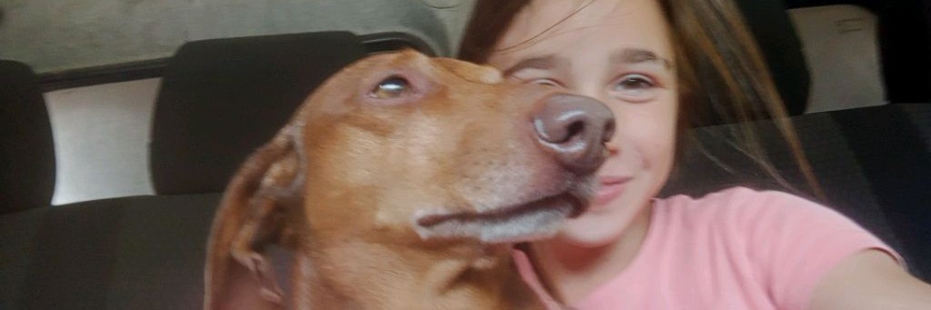 💗ВАСИЛЁК💗