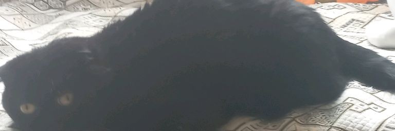 тётя Лёлька И Жека пулемёт