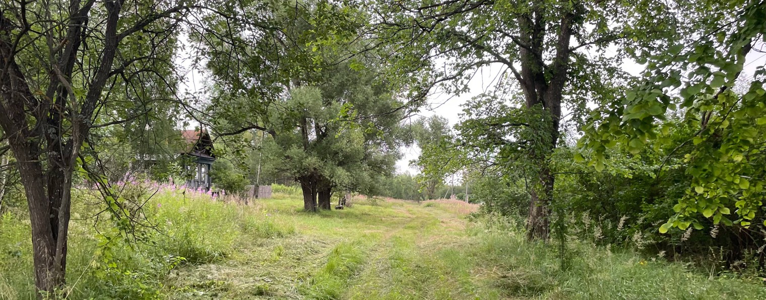 Александр Попов - жизнь с природой