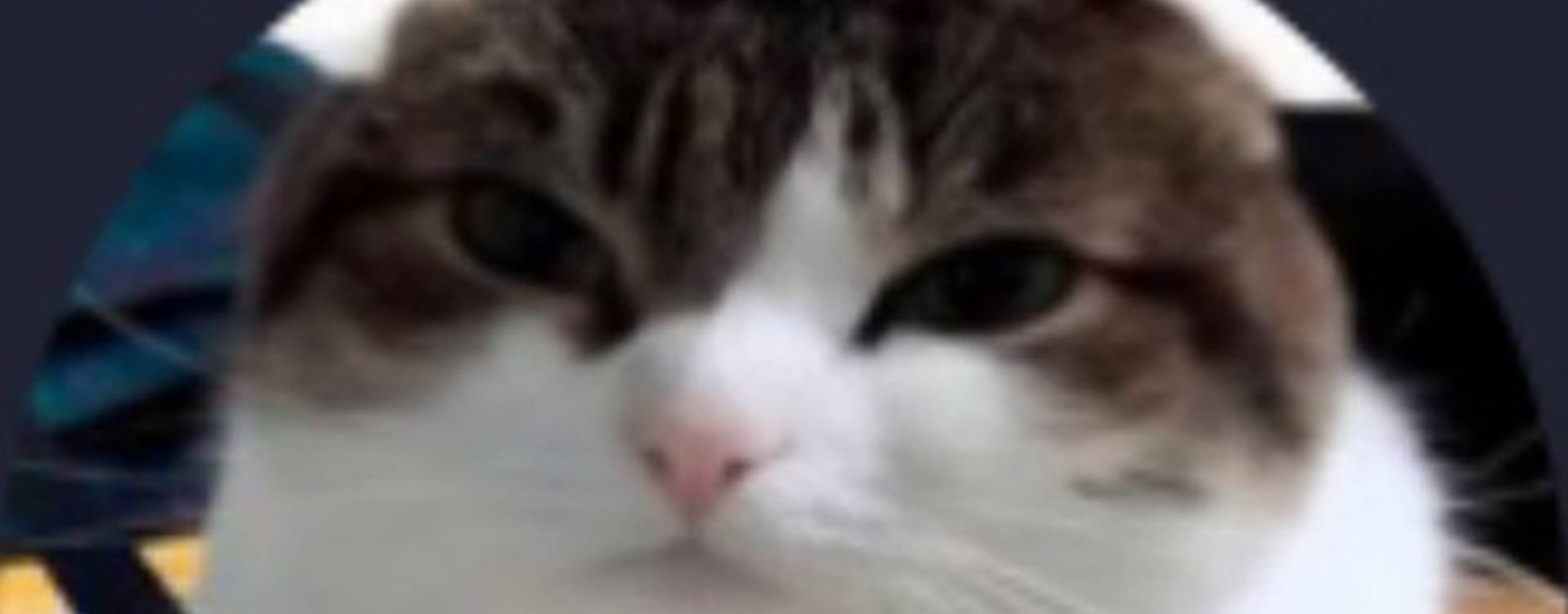 Блок Бласт?