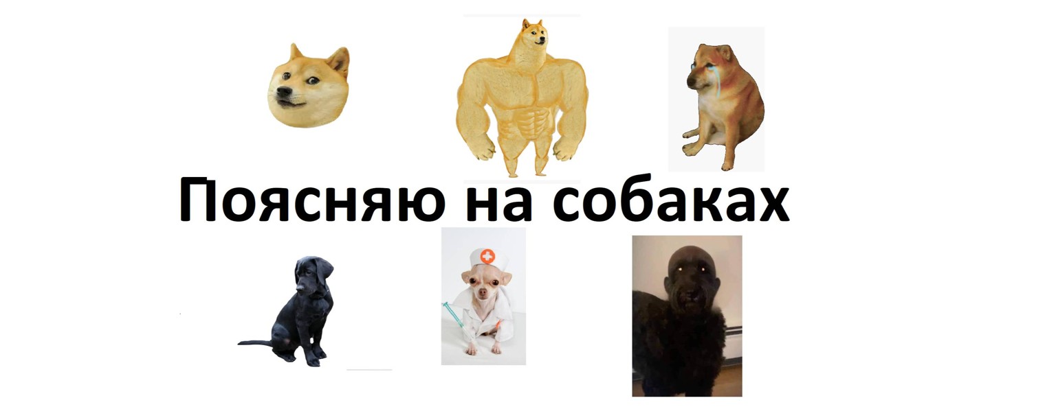 Поясняю на собаках