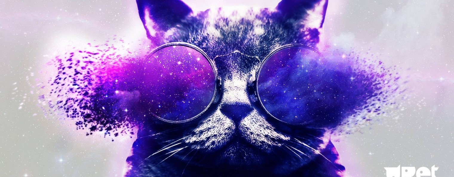 Кот Воитель