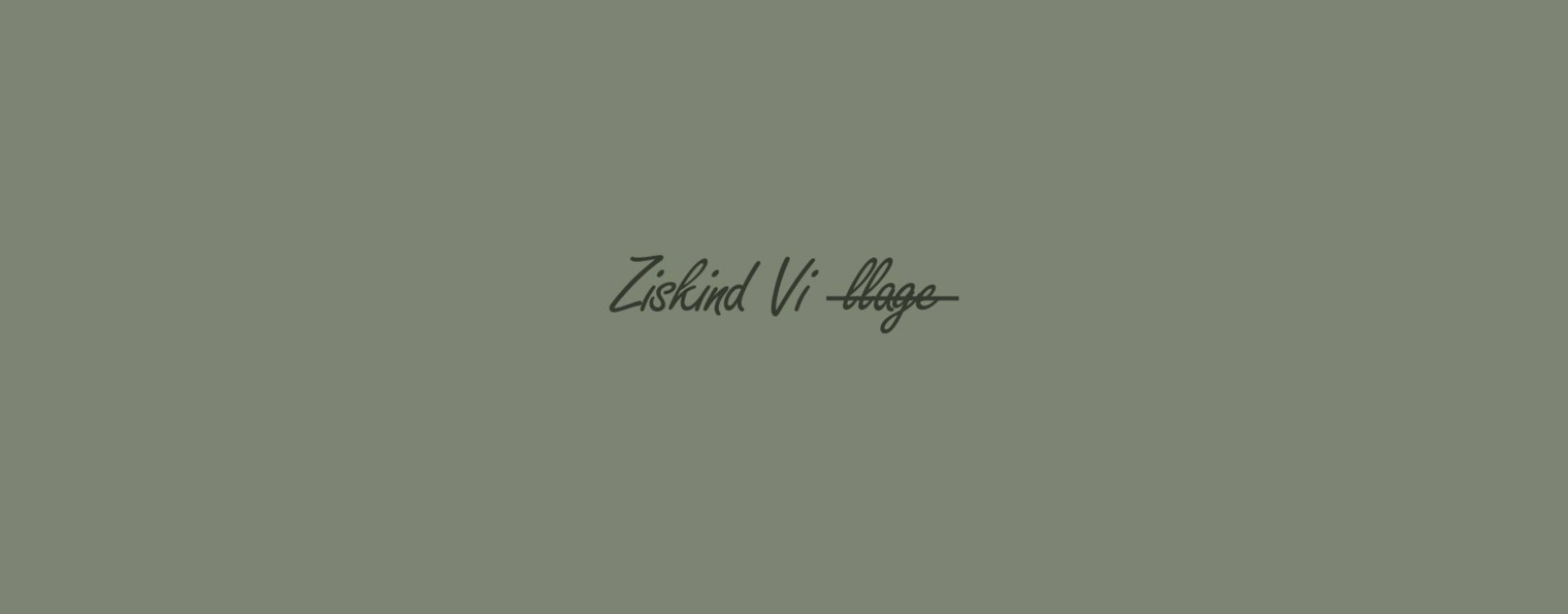 Ziskind Vi