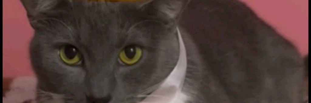 Лотков Кря🐈⬛🐤𓅭𓃠
🏿🏿🏿🏿🏿🏿🏿🏿
🏿🏿🏽🏽🏽🏽