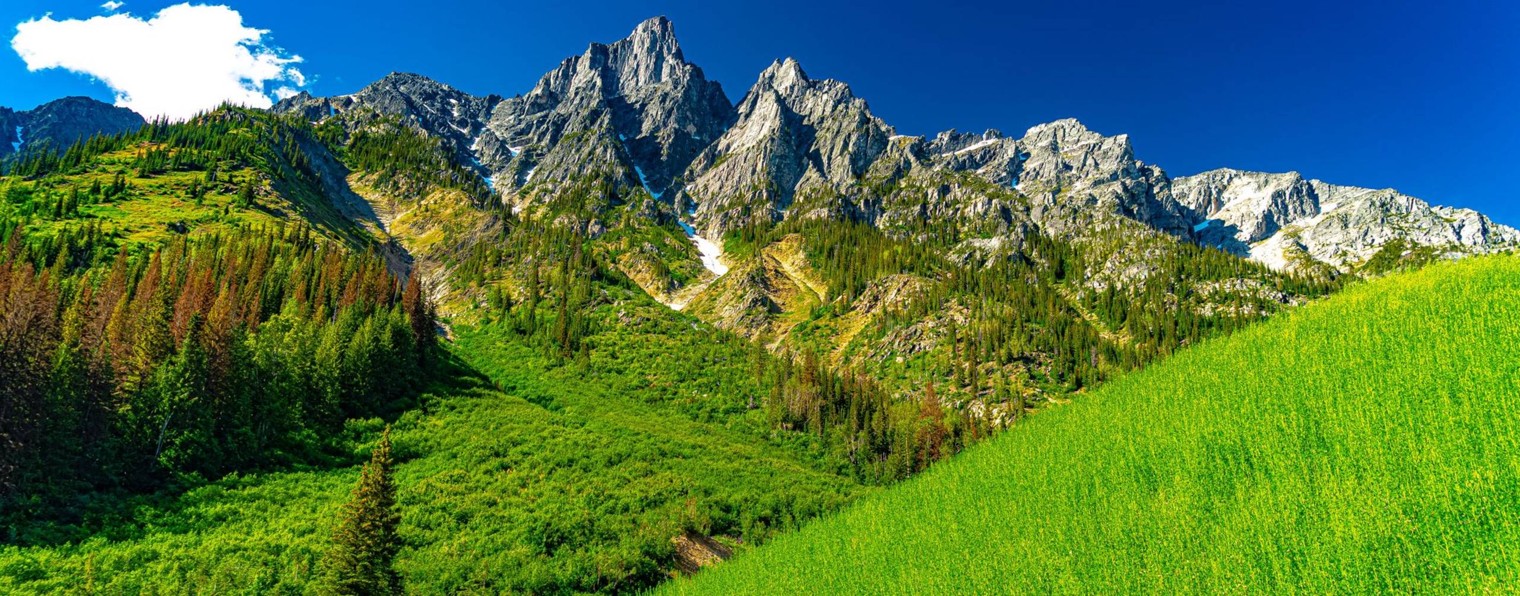 Волшебница