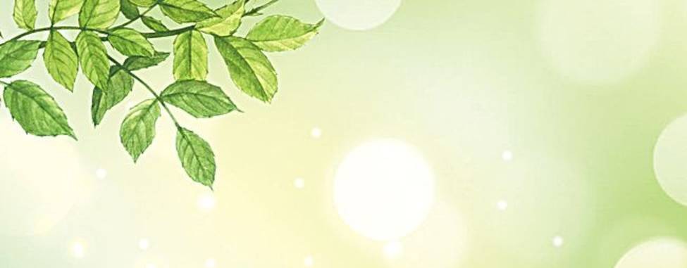 Елена Райкова