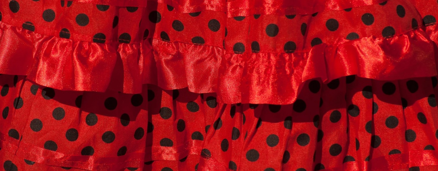 Светлана Рудник -  Певица фламенко